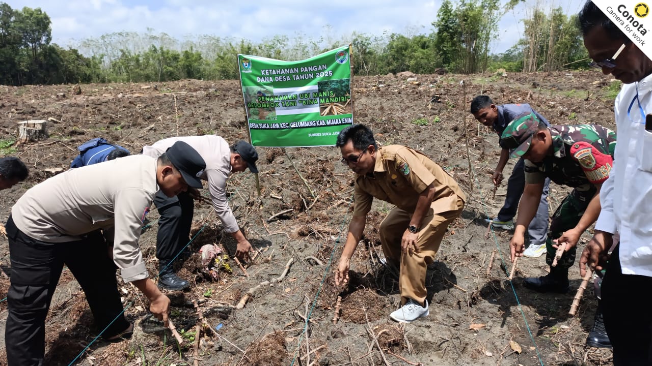 21 Hari Bumdes Desa Sukajaya Selesaikan Program Ketahanan Pangan 2025 — BeritaPali.com